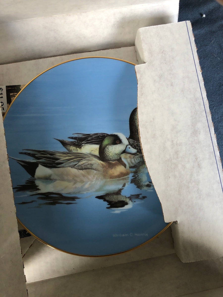 Set of 8 Commemorative Duck Plates in Original Boxes by WS George and ...